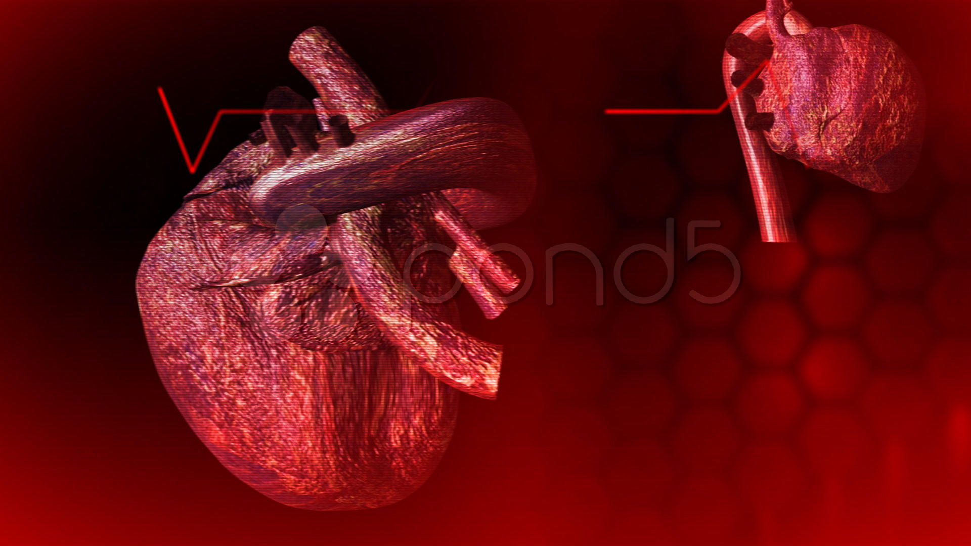 3D Beating Heart Animation videos 480769 | HD Stock Footage